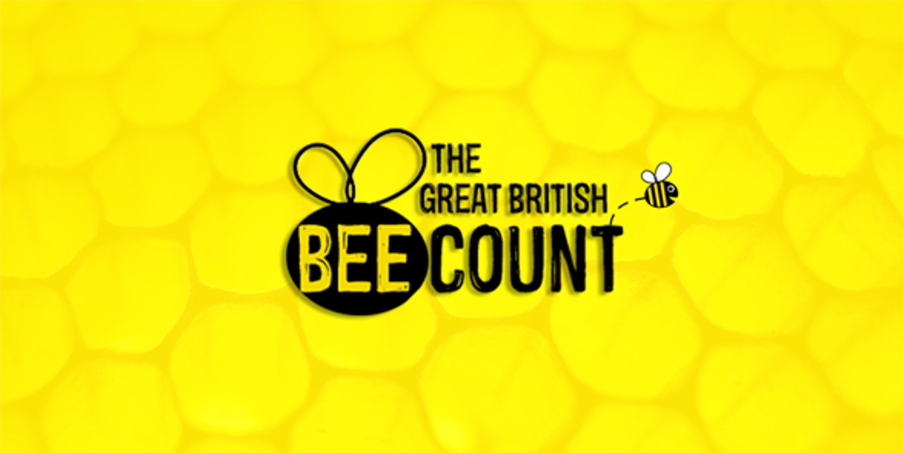 Buzzing for the Great British Bee for the Second Year - I Love Meet and ...